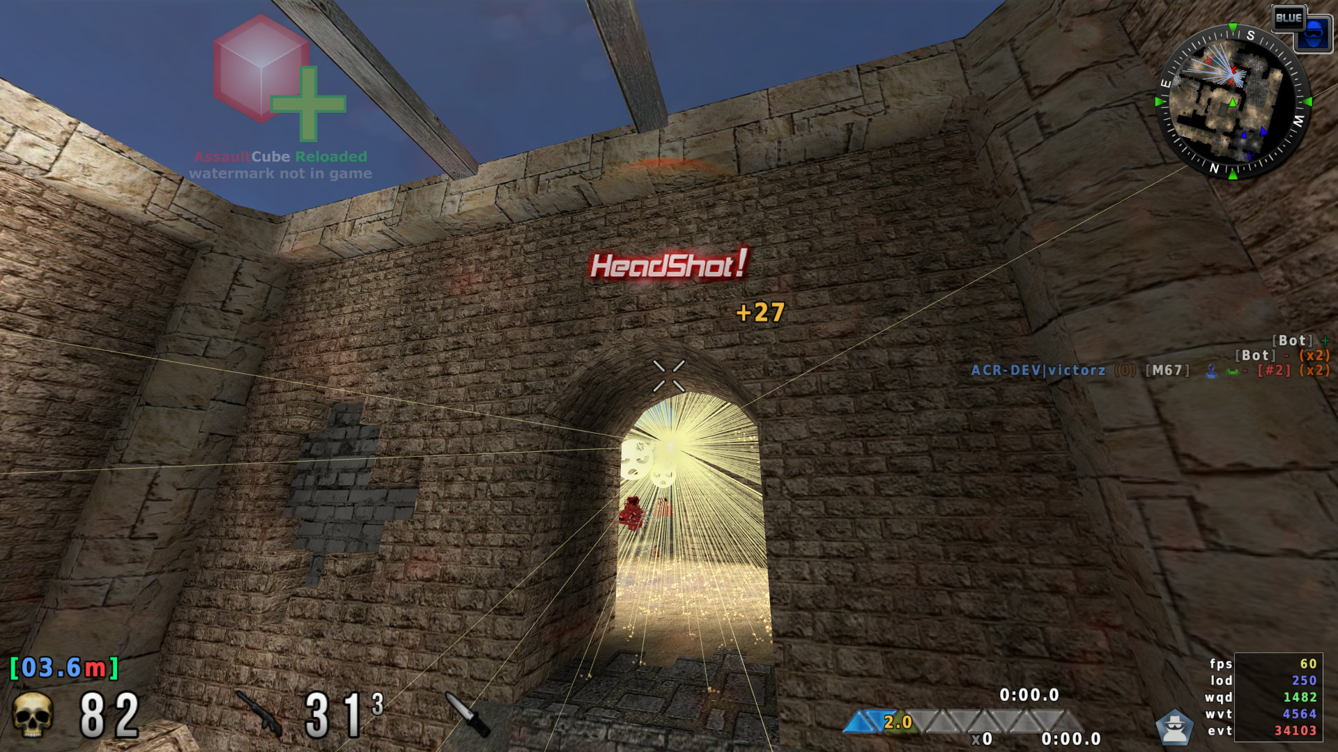 AssaultCube Reloaded to run in Linux online
