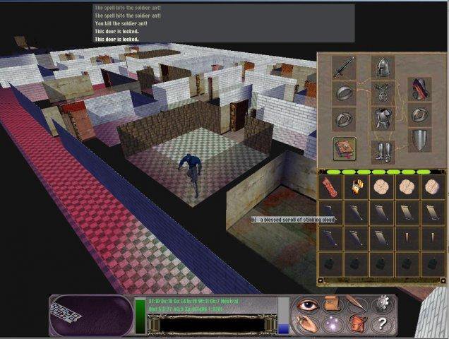 Nethack_3D to run in Windows online over Linux online